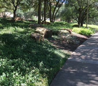 Hostile Architecture in Landscaping | C&W Services